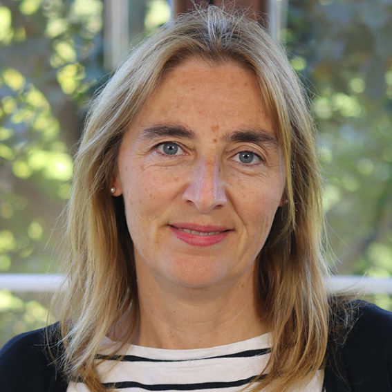 Inicio - Simple Blending