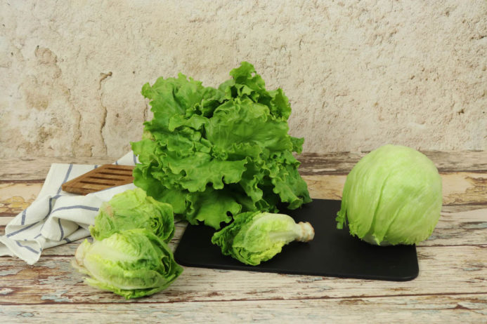 COMPARATIVA ENTRE 3 LECHUGAS DIFERENTES - Simple Blending